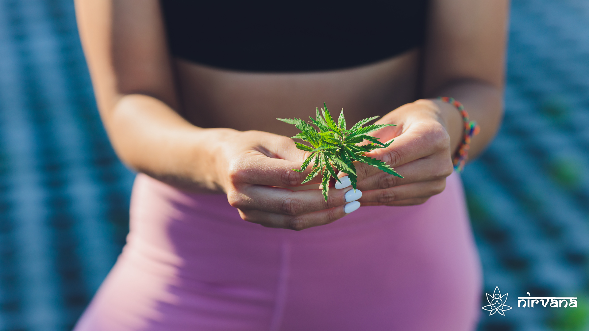Does Smoking Weed Make You Lose Weight? Let’s Find Out!